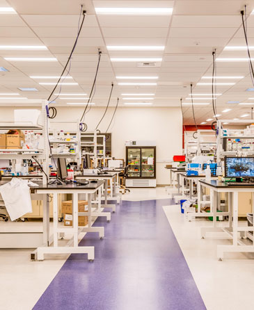 BioLegend, Phase 1 - Hughes Marino Seattle